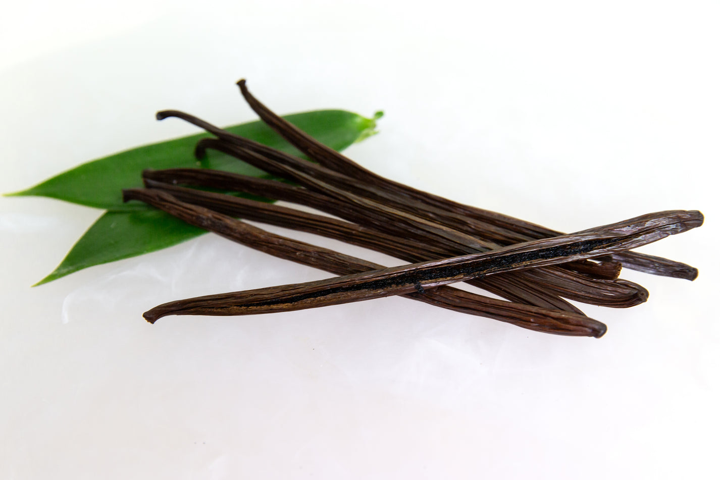 Wild Vanilla Rainforest Grown Australian Vanilla Beans