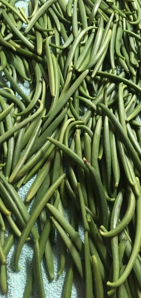 Wild Vanilla's Proprietary Process