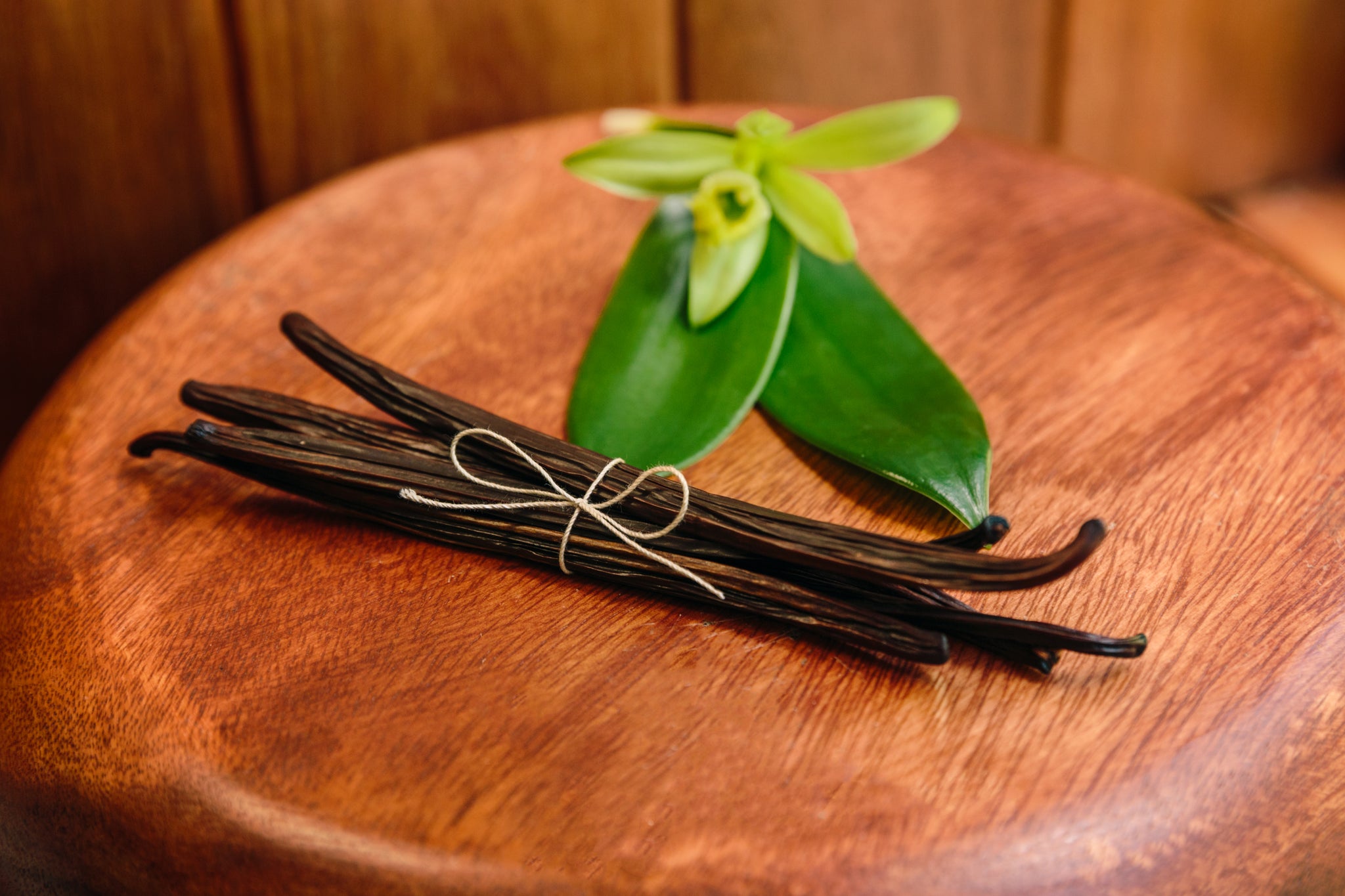 Wild Vanilla Rainforest Grown Australian Vanilla Beans