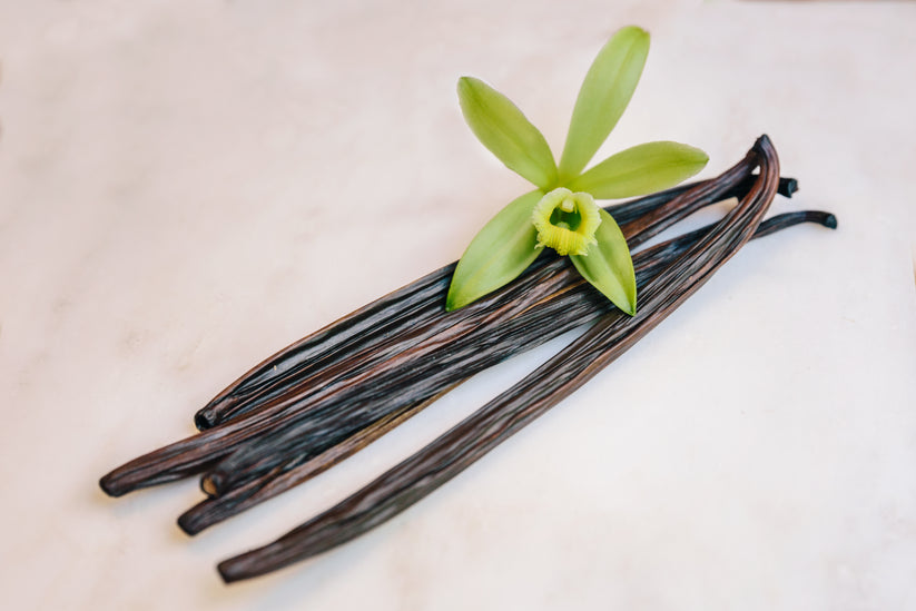 Wild Vanilla Rainforest Grown Australian Vanilla Beans